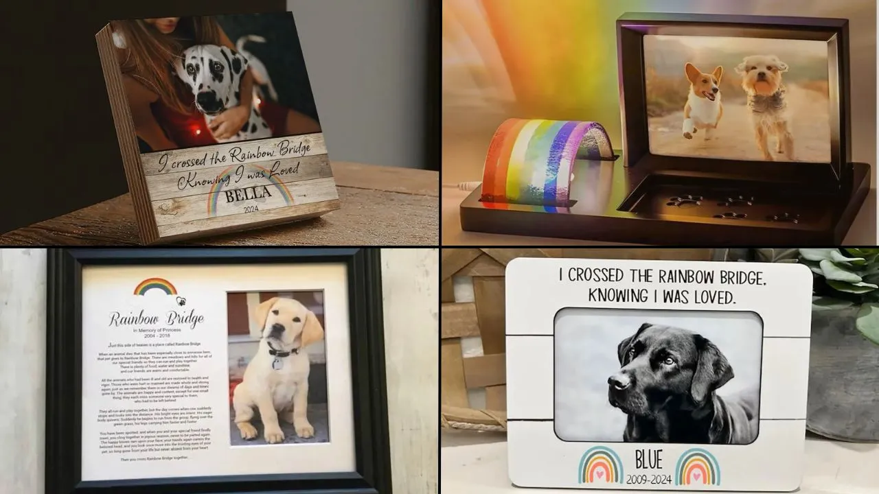 5 Beautiful Rainbow Bridge Memorial Frames for Pets
