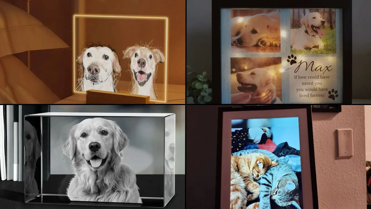 8 Best Digital & Lighted Pet Memorial Frames – Keep Their Memory Glowing